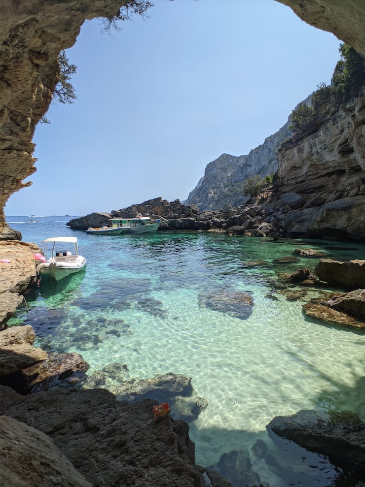 The Colour Blue - Girasole