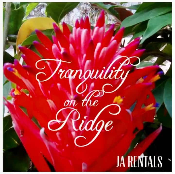 Tranquility On The Ridge - Ocho Rios