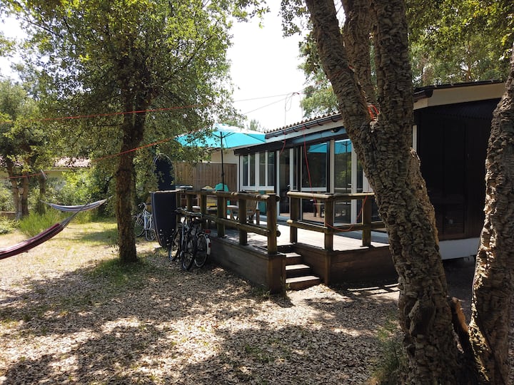 Chalet Entre Nature Et Océan, 1km Des Plages - Labenne