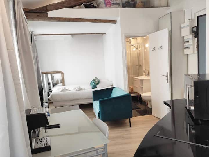 Paris Centre - Le Marais. Center Of Paris - Paris 15e Arrondissement