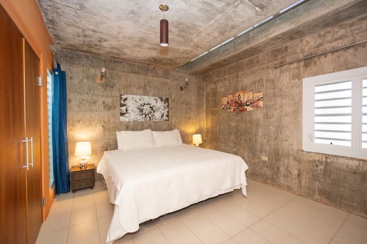 Cozy 1-bedroom Apt + Private Outdoor Garden Oasis! - Puerto Rico