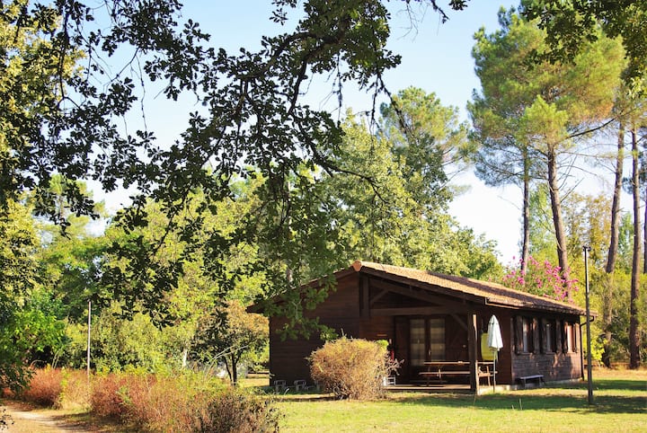 Chalet 6 - Au Cœur De La Foret En Bordure Du Ciron - Sauternes