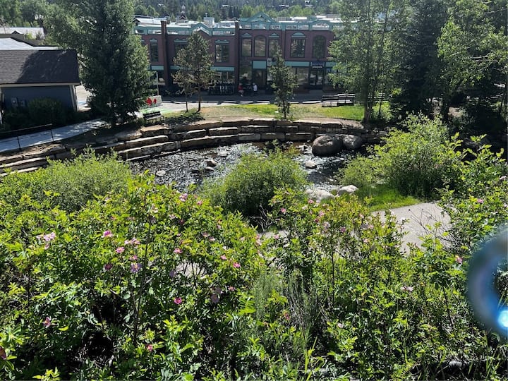Downtown Breckenridge Studio + Free Parking - Breckenridge, CO