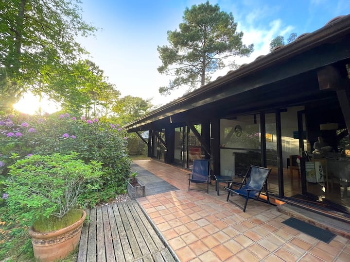 La Girolle - Lège Cap-ferret - Lège-Cap-Ferret