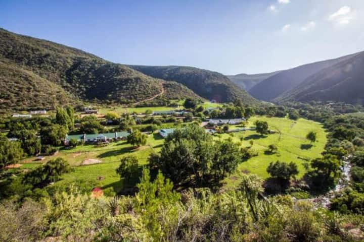Safaritent Mountain View @Oldmill 2adult 2children - Oudtshoorn