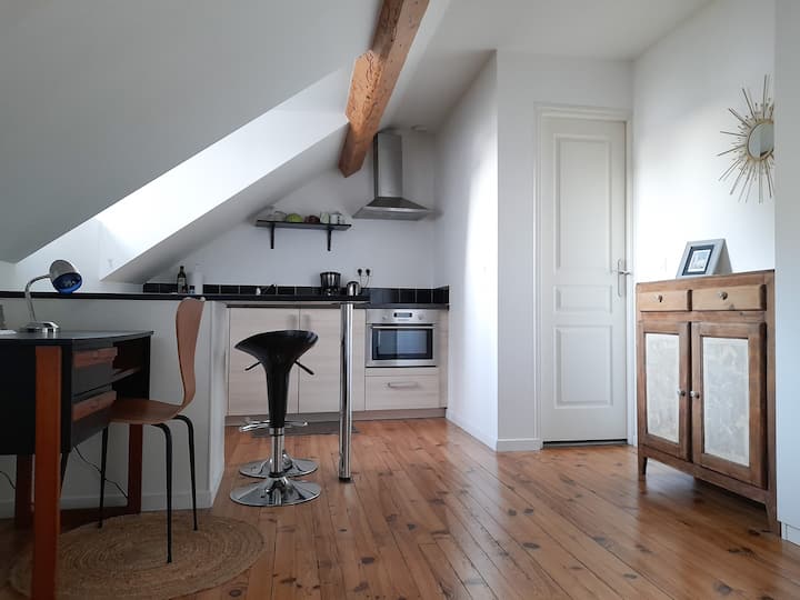 Charmant Studio Vieux Vichy - Vichy