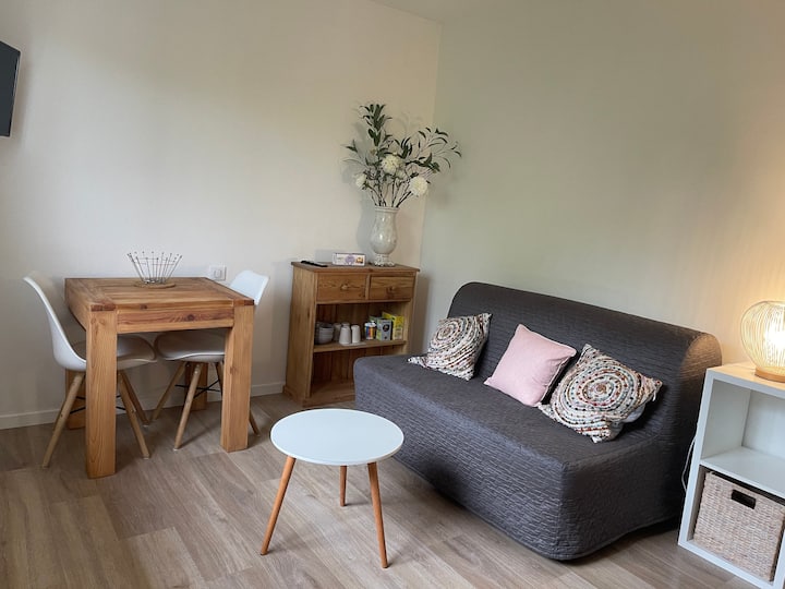 Appartement Spacieux Proche Lac Du Bourget - Chambéry