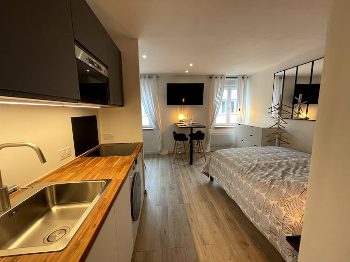 Grand Studio - Le Kléber - Centre Strasbourg - Strasbourg