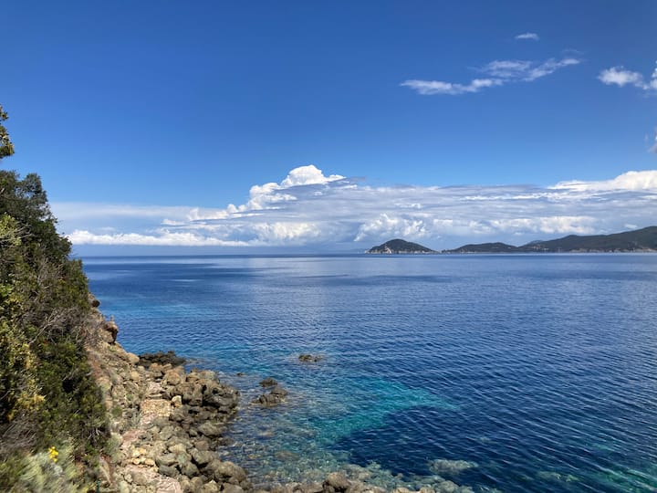 Marinaio - Marciana Marina