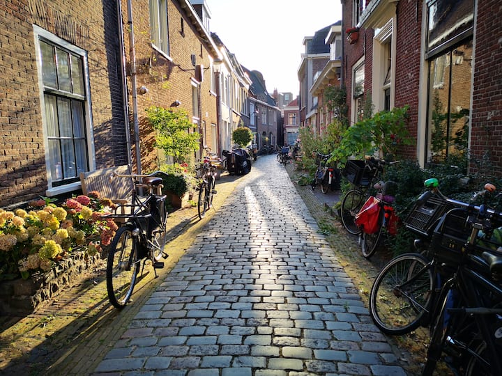 Cosy House In Centre Of Haarlem (Beach, Amsterdam) - Heemstede