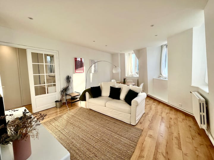 Appartement Spacieux Et Lumineux Beaux Arts - Lille