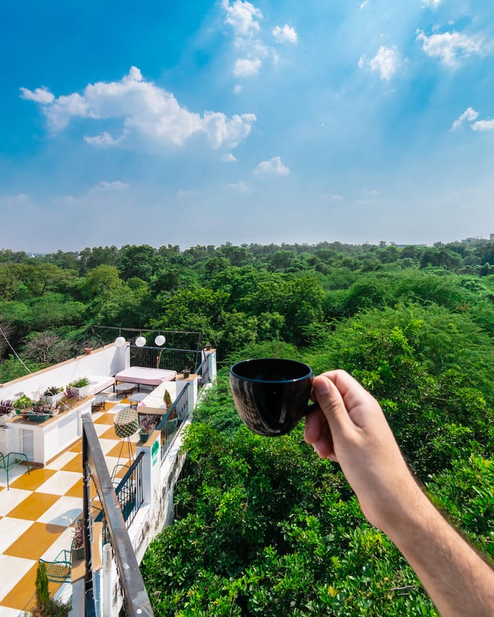 Japandi Queen: Hauz Khas Forest View & Breakfast - New Delhi