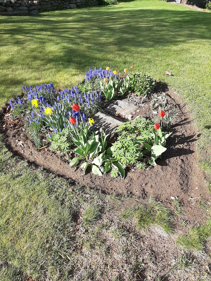 Spacious Private Studio & Experienced Superhosts! - Newmarket, NH