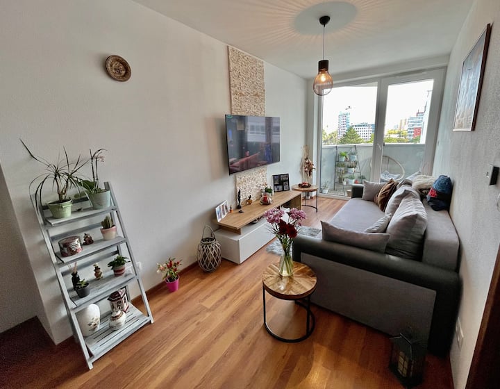 1 Bedroom Apartment Very Close To Downtown - Pozsony