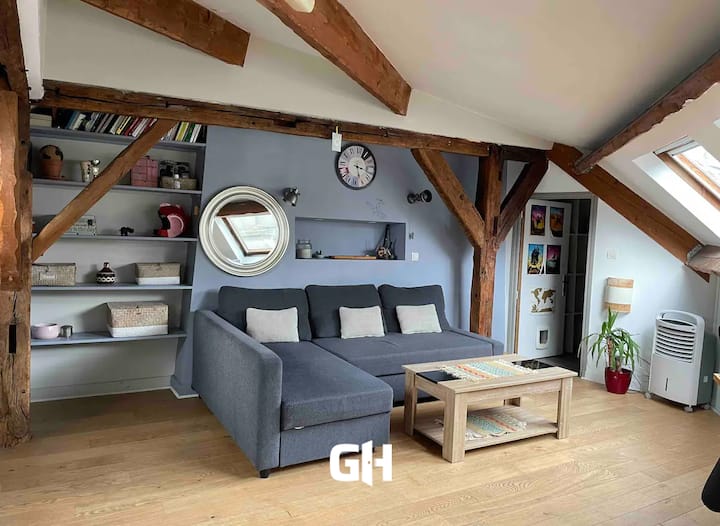 Le Bohème - Centre De Paris - Belle Vue - Wifi - Parc de la Villette