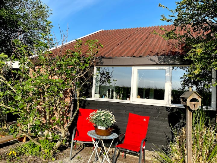 Haus Mit Feigenbaum - Bergen, Netherlands