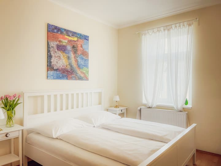 One-bedroom Apartment Near I.p.pavlova,50 M2 (2+2) - Prague