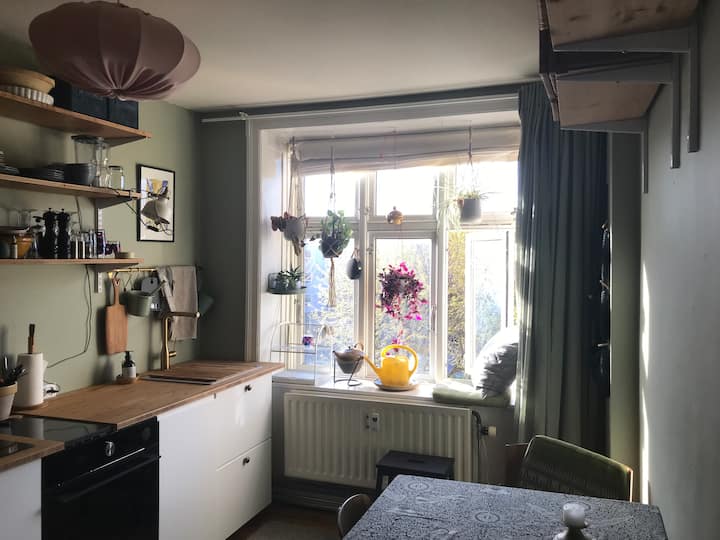 Central And Cosy Appartment - Kopenhagen