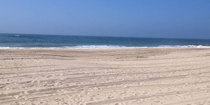 Oceanview Studio 6, Twin Pond Walk To Town/beach Pass - Montauk, NY
