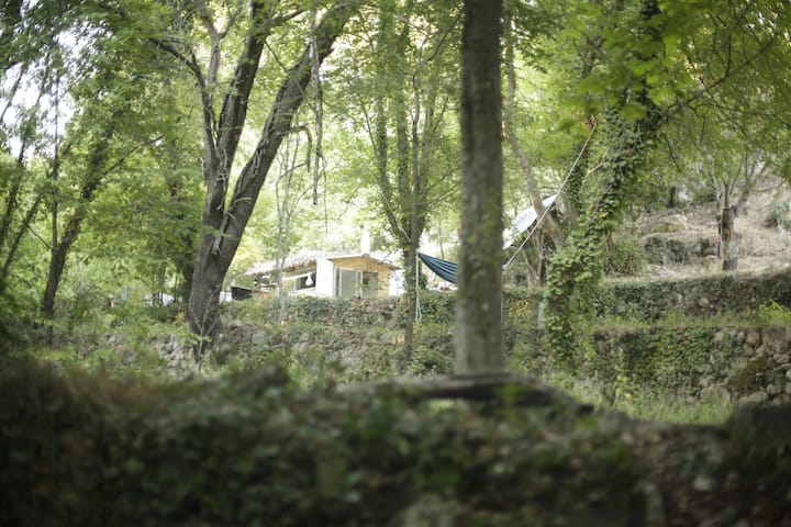 Terre Libre 2, Glamping - Fayence