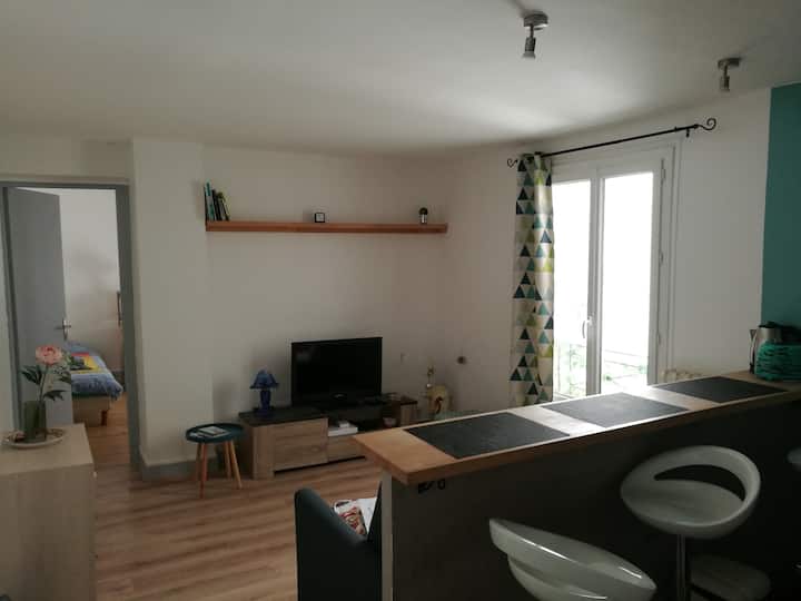 F2 Familial Quartier Opéra-grands Magasins Paris9° - Avenue des Champs-Élysées - Paris