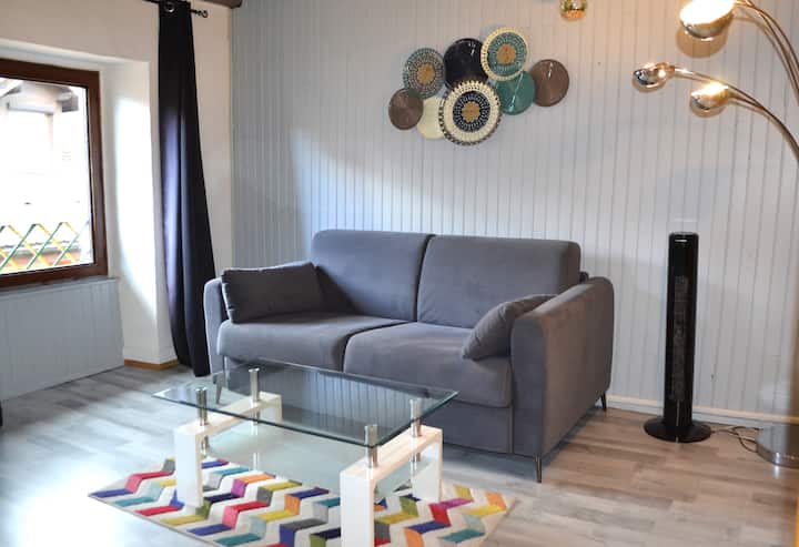 Logement Cosy En Vieille Ville - Annecy