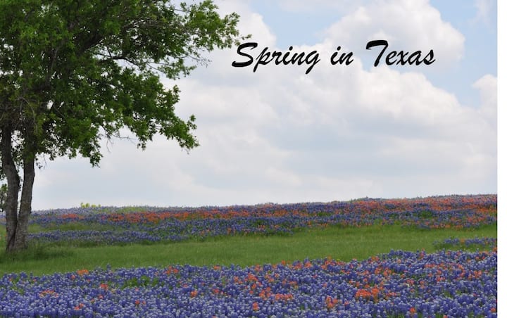 Reopen A New House In A Safe And Scenic Area-sun - Richmond, TX