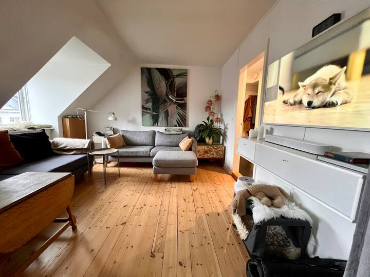 Top Floor, Central & Bright - Copenhagen