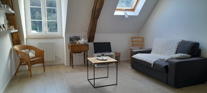 Port Du Légué. Appt Cosy Dans Maison D'armateur - Brittany