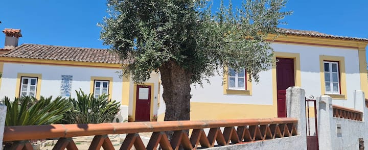 Casas Da Balsa - Casa De Cima - Mação