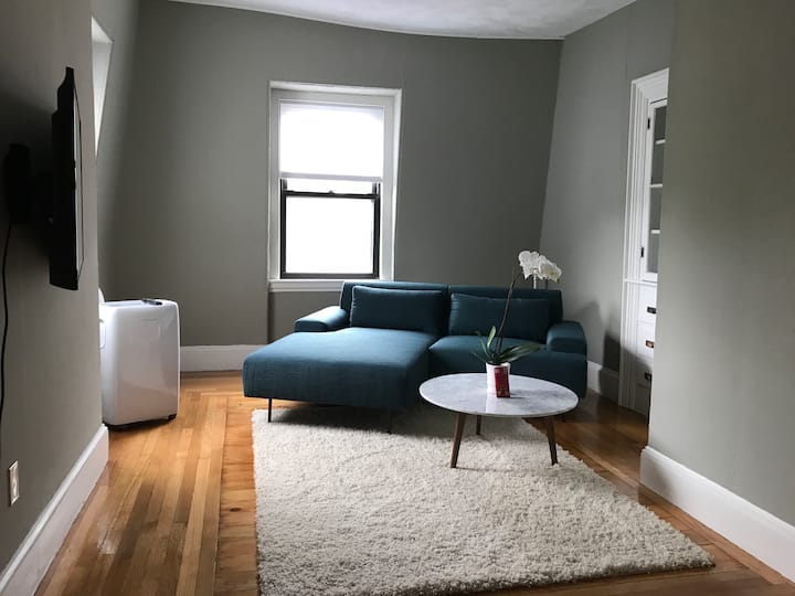 #4b, Walk To Harvard, Mit, Redline! Prime Location - Cambridge, MA