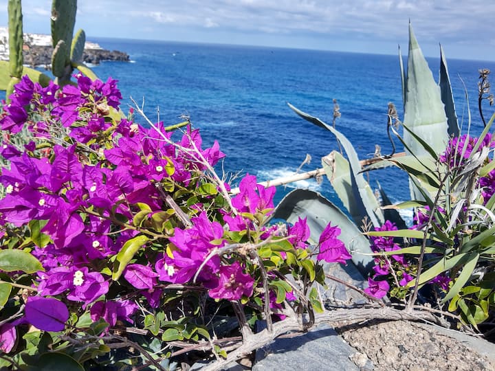 Casa Roma - House With 2 Apartments And Pool - Tenerife