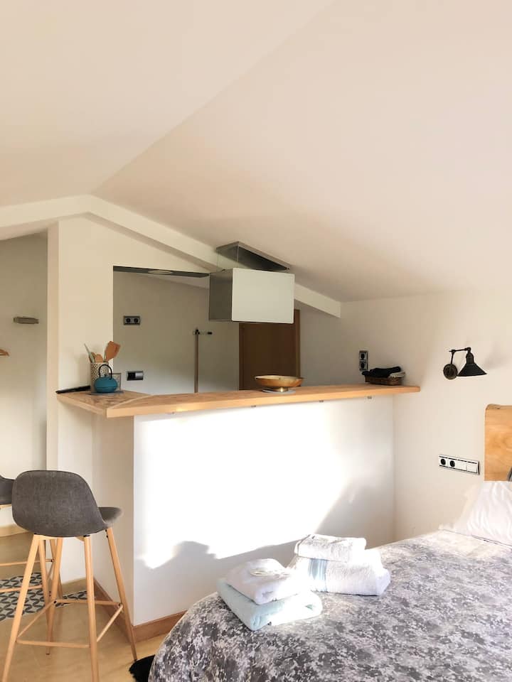 Room 6 - Mitxoleta - Studio Appartment - Azpeitia