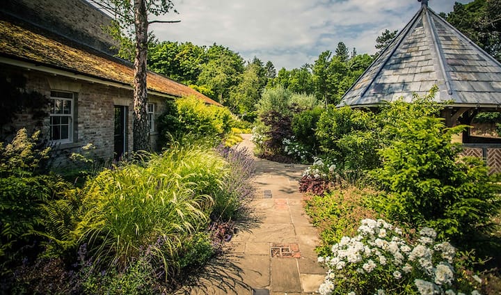 Wren Forest Studio Cottage Next To Lake & Beach - Norfolk