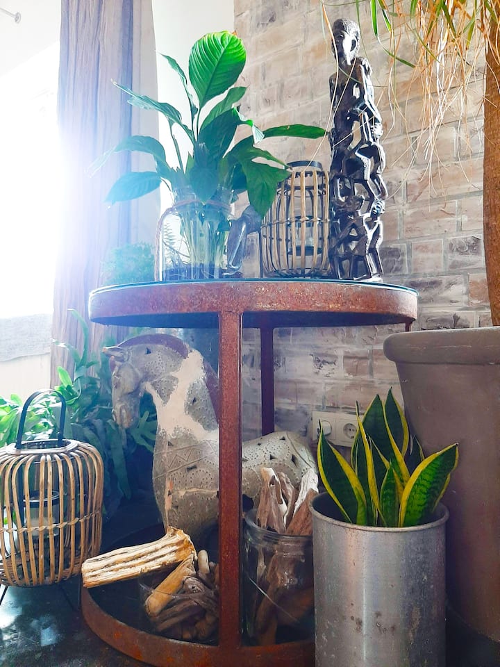 Luxury Canal Apartment - Amsterdam