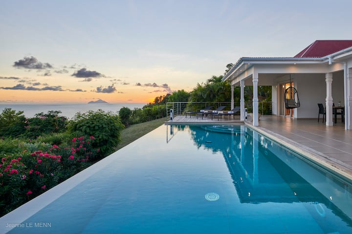 Cactus - Saint Barthélemy