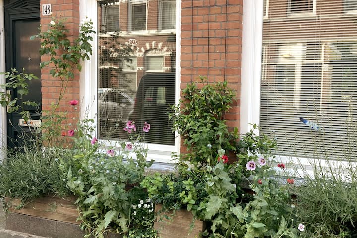 Maison Tranquille En Ville Et Tout Près De La Mer. - The Hague