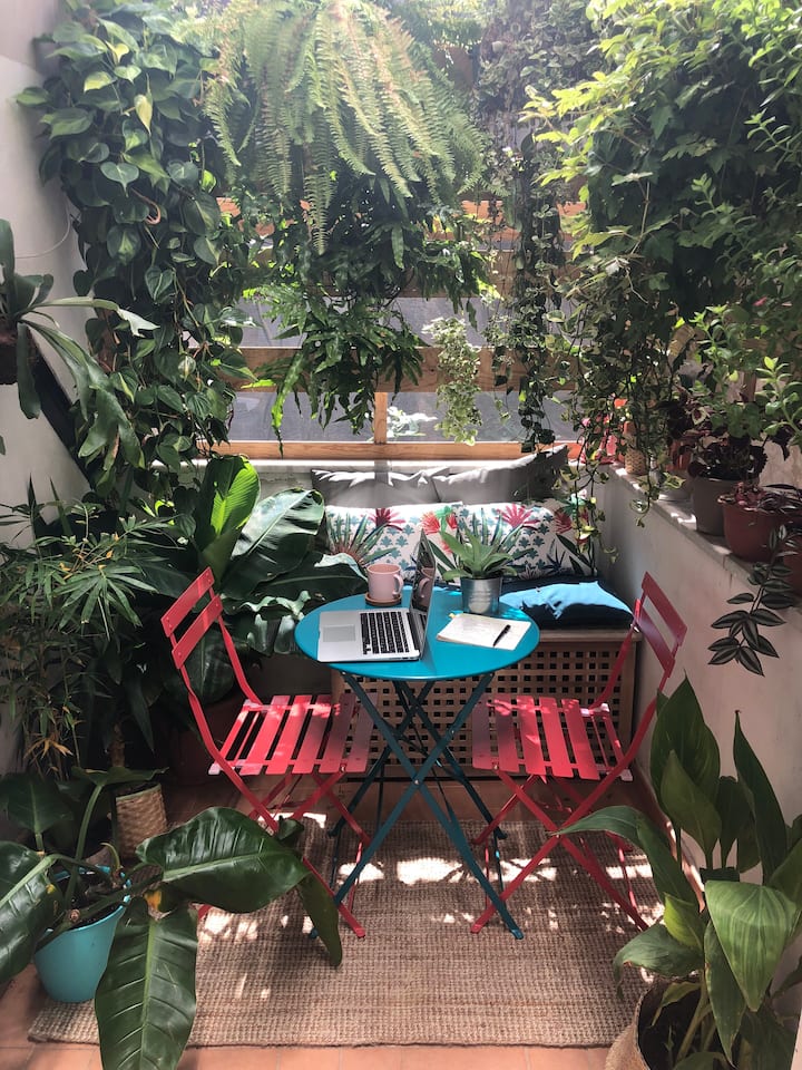 House With A Cat,  Terrace In The Old City - Italy