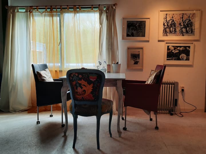 Zi-zz-art - B & B : Congenial Spot Along The River - Leeuwarden