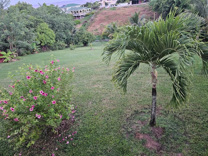 1 Bedroom Apartment - Dominique