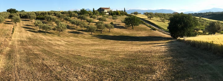 Villa Leone - Chieti