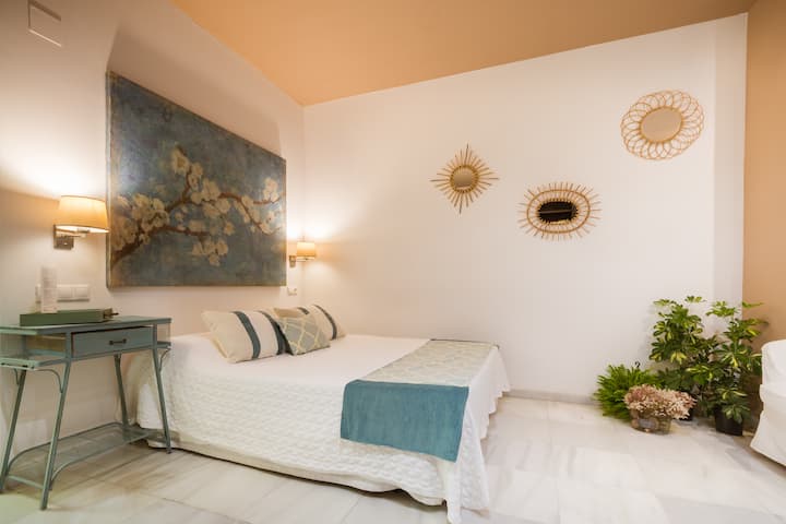 Estudio Superior Exterior - Alicante