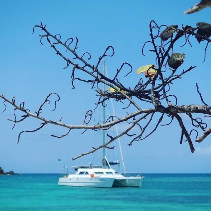 42 Ft Catamaran In Coron - Coron