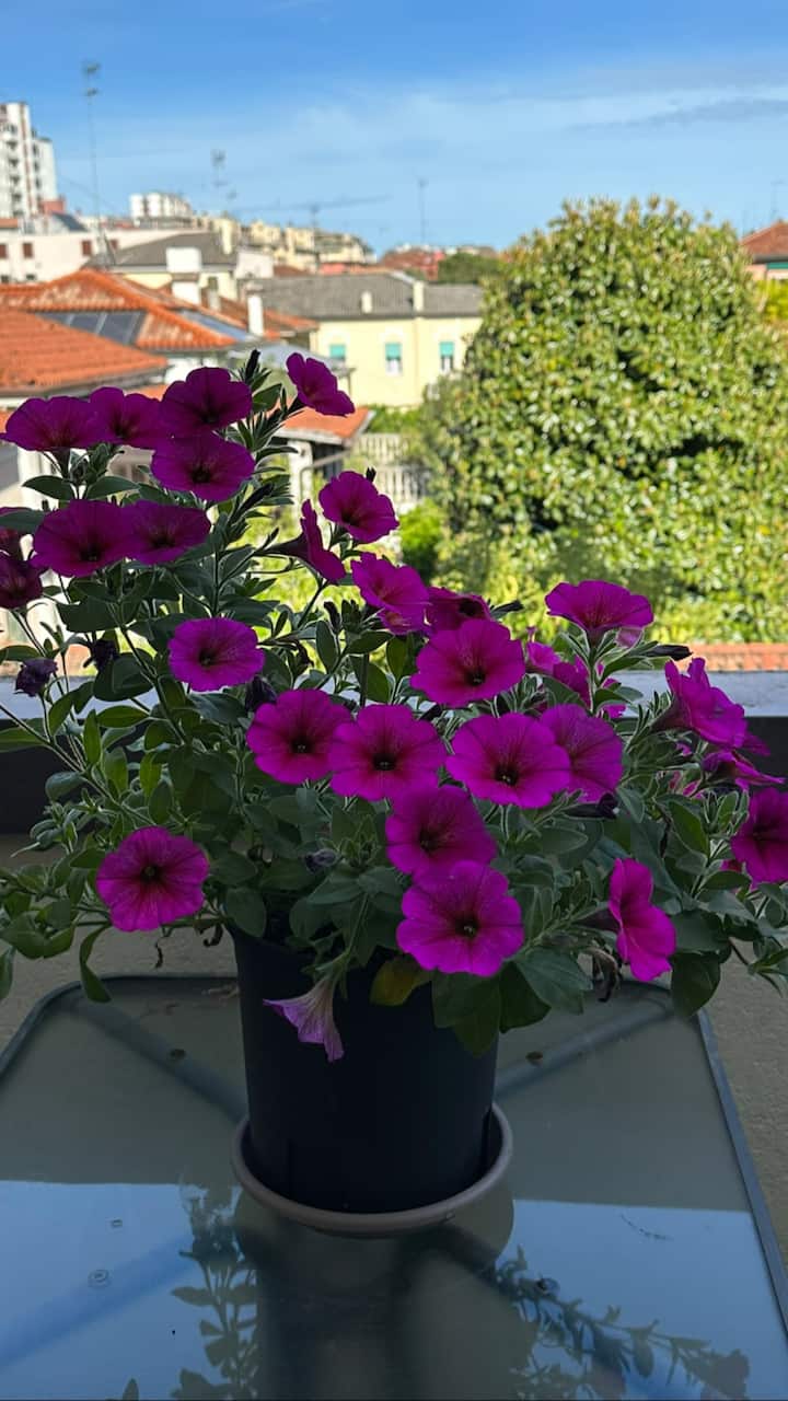 Venetian Apartment With Free Parking And Terrace - Veneto