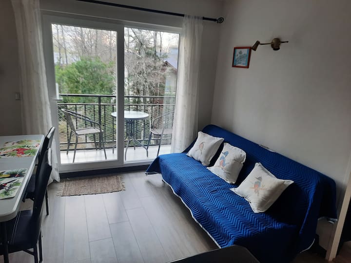 Pucon Nice Apartment ,Ski, Beaches , Virtual Work - Neuquen
