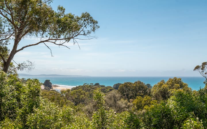 Watershack - Expansive Ocean Views, Close To Town - Lorne