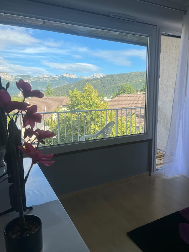 Grand T2 Vue Exceptionnelle - Saint-Jorioz
