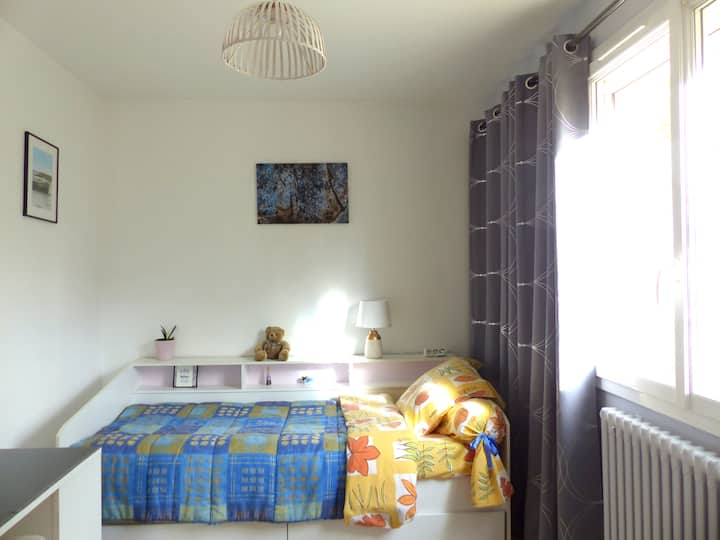 Chambre Spacieuse En Appartement - Saint-Sébastien-sur-Loire