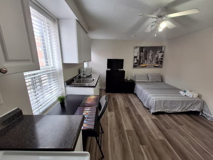 Beautiful Studio With Balcony Near Ottawa (1018) - Gatineau