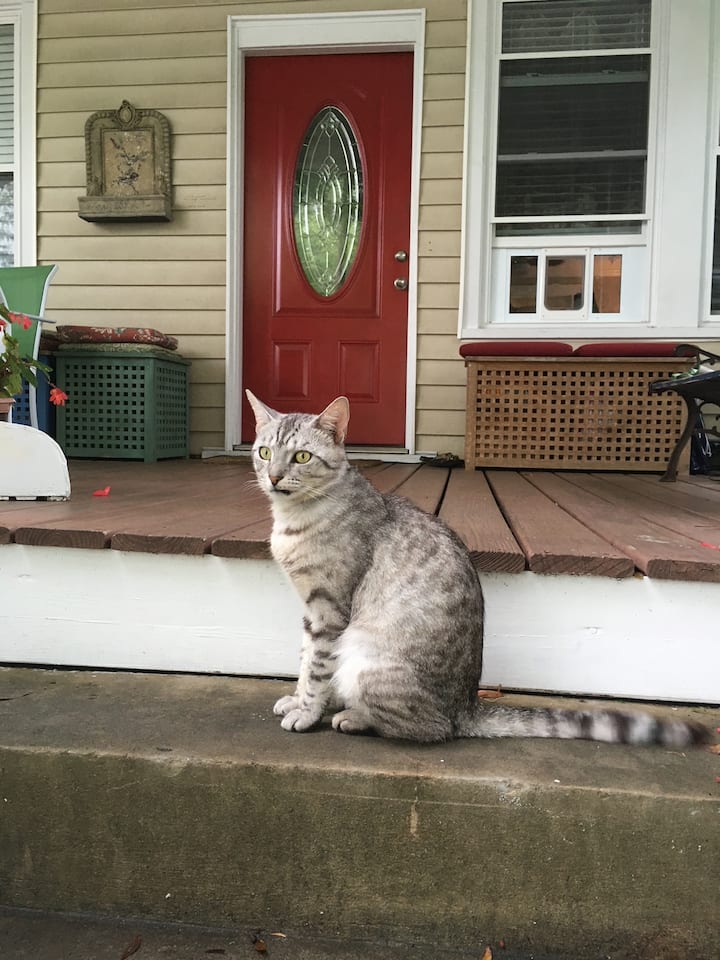 Charming Craftsman Cottage, Centrally Located - Wilmington, NC
